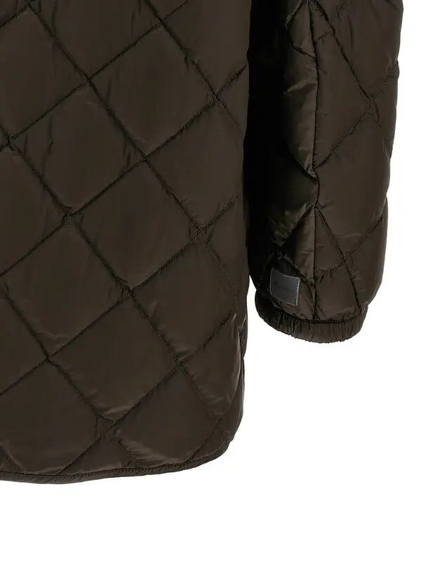 Max Mara Iridescent Down Jacket