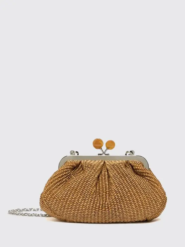 Max Mara Woven Clutch With Clasp Closure