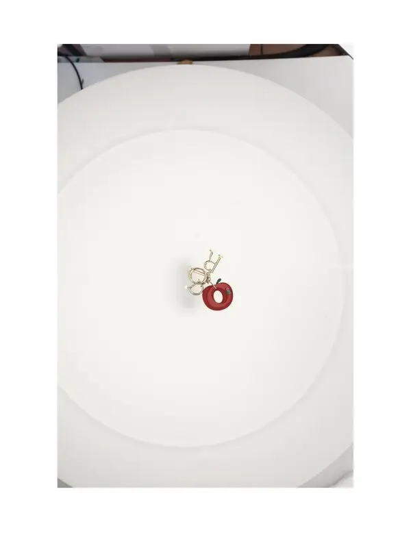 Dior Silver Tone Bag Charm - Multicolor