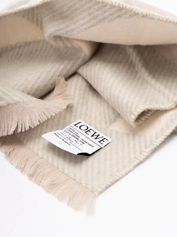 Loewe Scarf - Multicolor