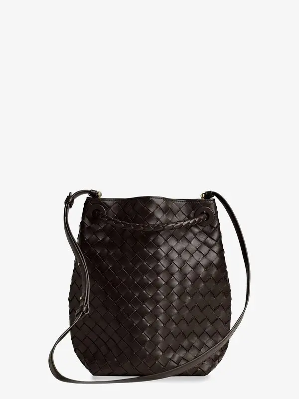 Bottega Veneta Andiamo Bucket Bag