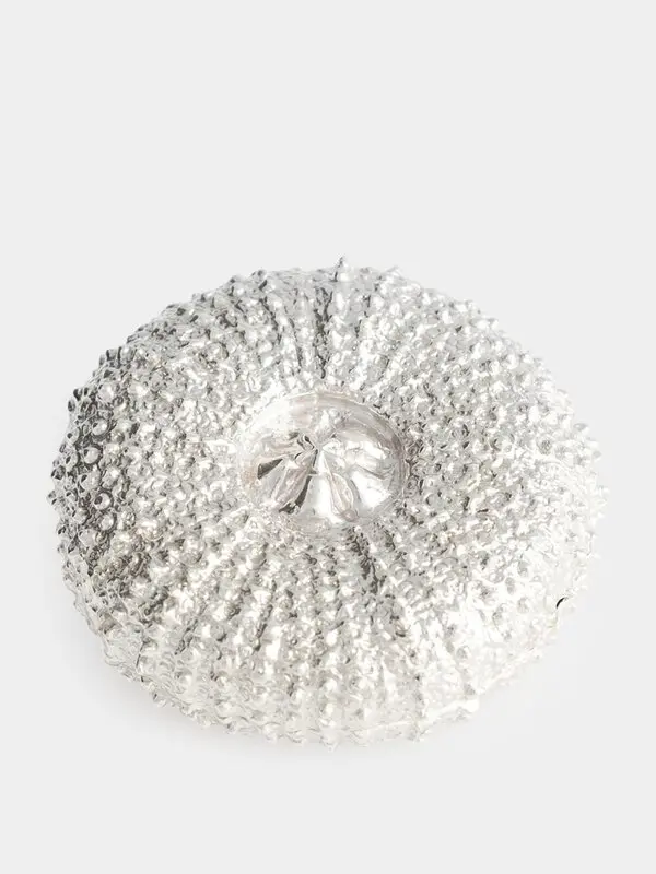LEITÃO &AMP; IRMÃO Leitão & Irmão Sterling Sea Urchin Box