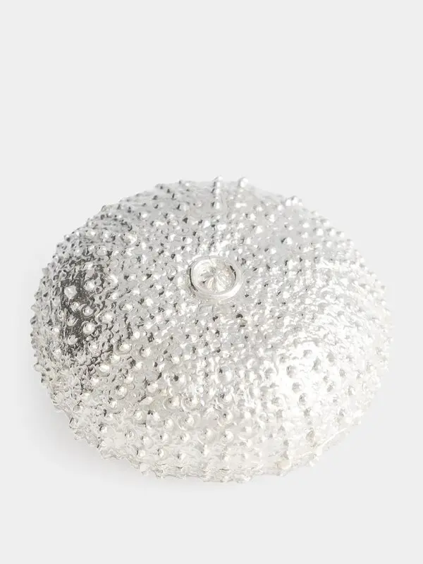 LEITÃO &AMP; IRMÃO Leitão & Irmão Sterling Sea Urchin Box