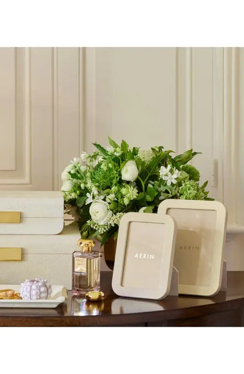 Aerin Classic Faux Shagreen Frame