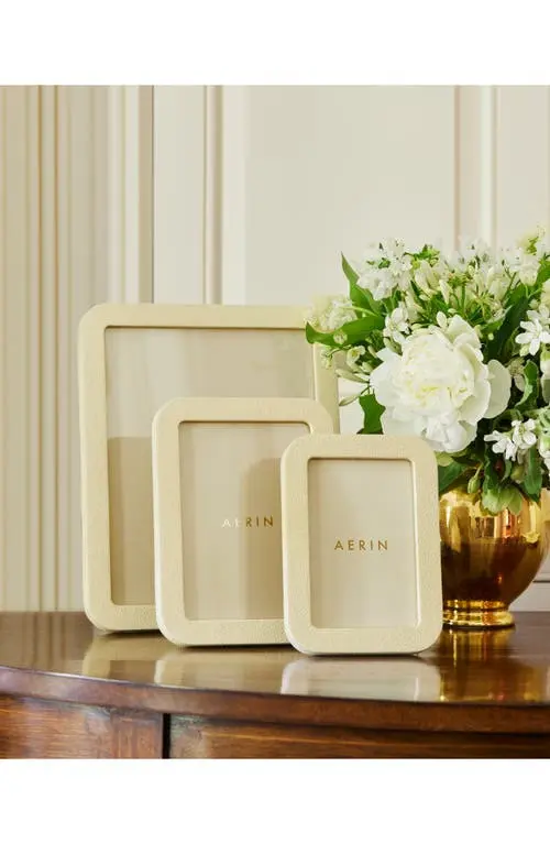 Aerin Classic Faux Shagreen Frame
