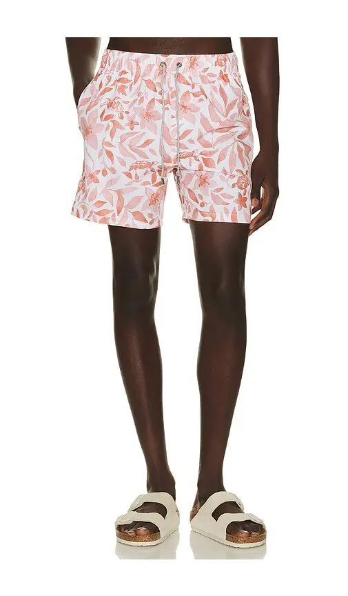 VINTAGE SUMMER 4 Way Stretch Volleys - Orange