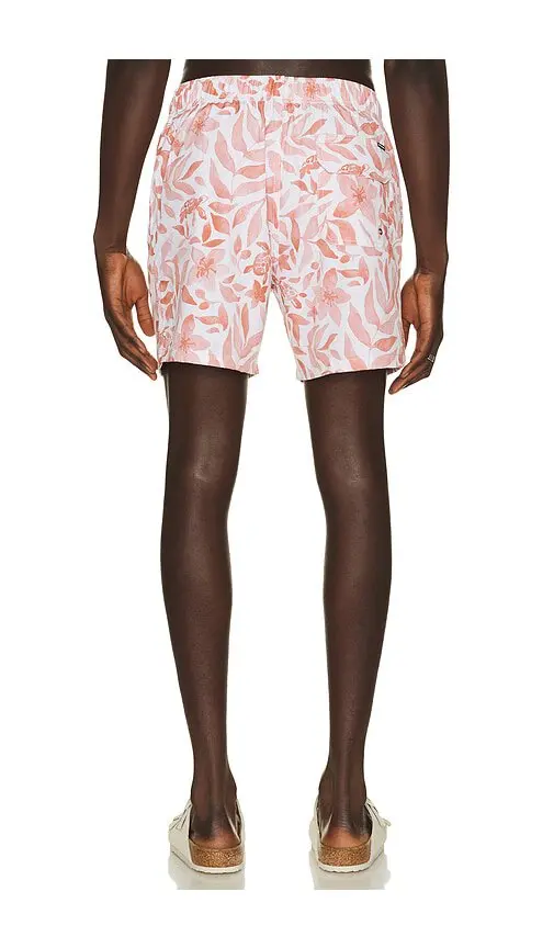 VINTAGE SUMMER 4 Way Stretch Volleys