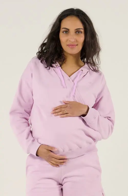 CACHE COEUR Maternity & Nursing Hoodie - Lilac