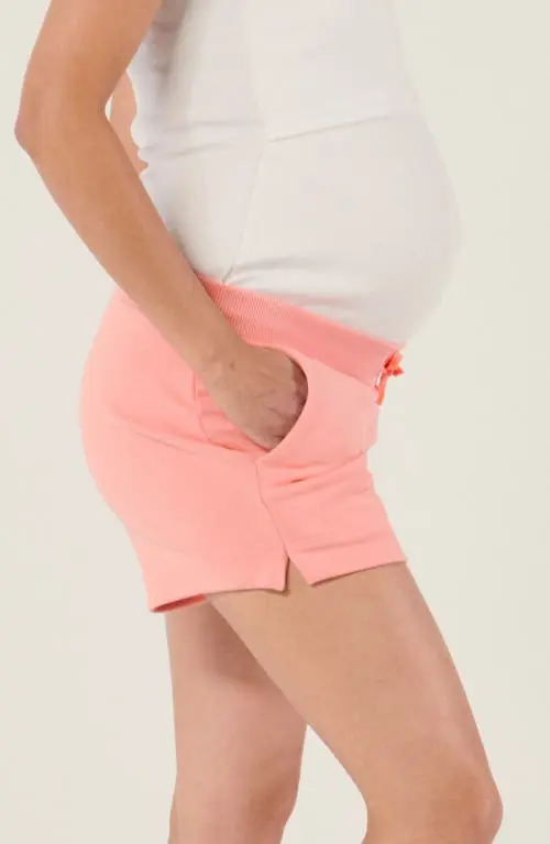 CACHE COEUR Maternity & Nursing Shorts - Apricot