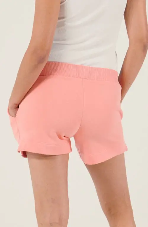 CACHE COEUR Maternity & Nursing Shorts - Apricot