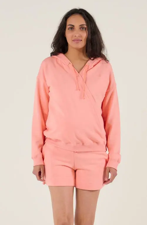 CACHE COEUR Maternity & Nursing Shorts - Apricot