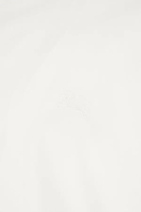 Burberry Clothing Shirts