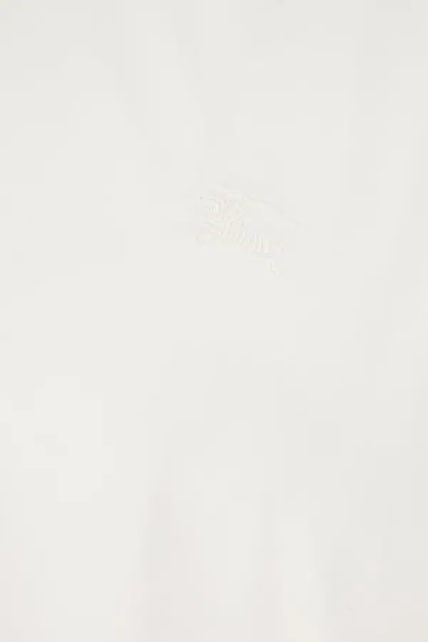 Burberry Clothing Shirts - Multicolor
