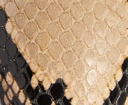 Khaite Jett D'orsay Pump In Python-embossed Calfskin - Taupe