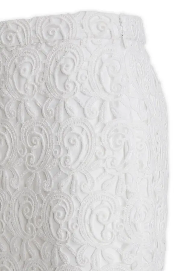 Burberry Lace Skirt