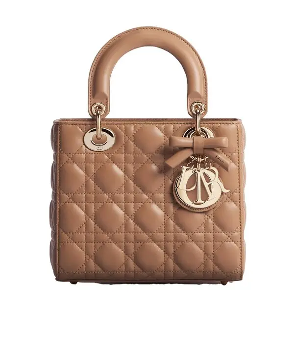 Dior Small Lady Bag With Strap