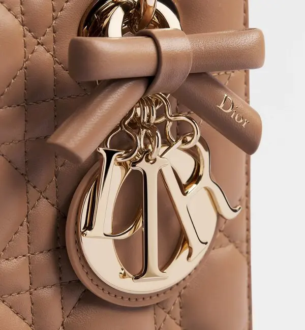 Dior Small Lady Bag With Strap