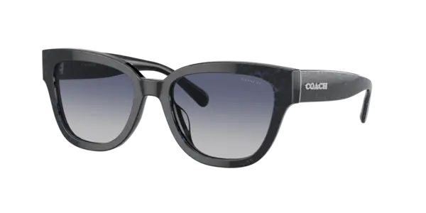 COACH Sunglasses - Blue Gradient