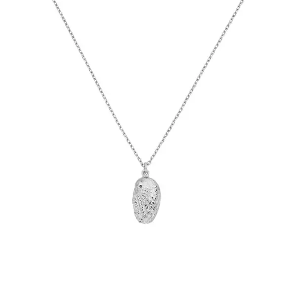 ZOË & MORGAN Zoe And Morgan Sterling Soul Paua Pendant Necklace - Silver