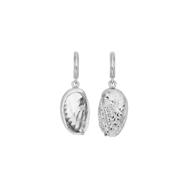 ZOË & MORGAN Zoe And Morgan Sterling Soul Paua Drop Earrings - Silver