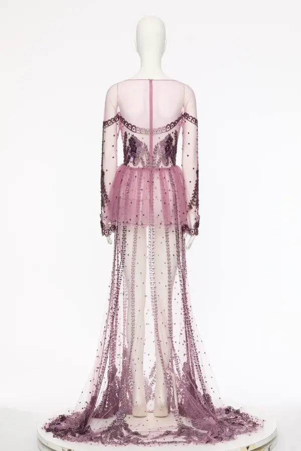 Valentino Garavani Long Sleeve Sheer Embroidered Dress