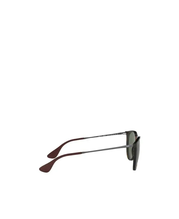 Ray-ban Erika Classic Sunglasses