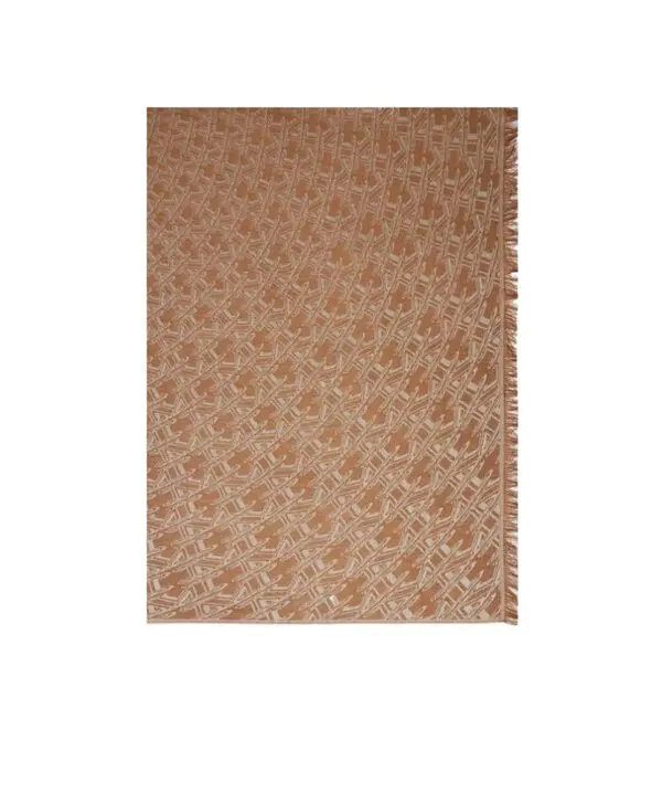 Max Mara Jacquard Scarf - Brown