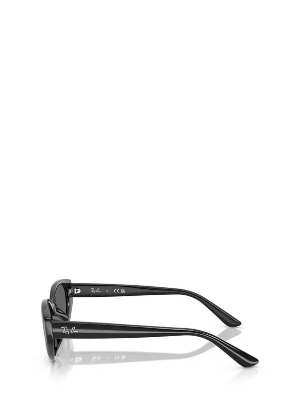 Ray-ban Full Rim Oval Sunglasses