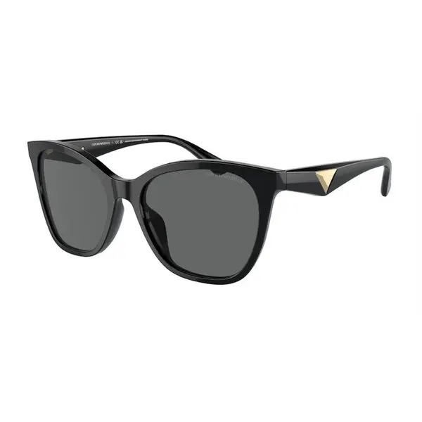 Emporio Armani Full Frame Sunglasses