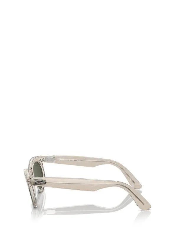 Ray-ban Oval Frame Sunglasses