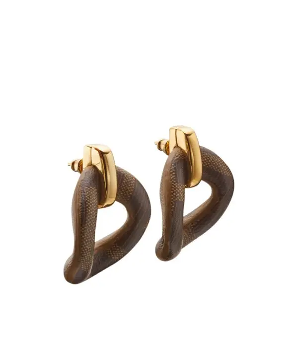 Fendi Filo Ring-shaped Earrings - Brown