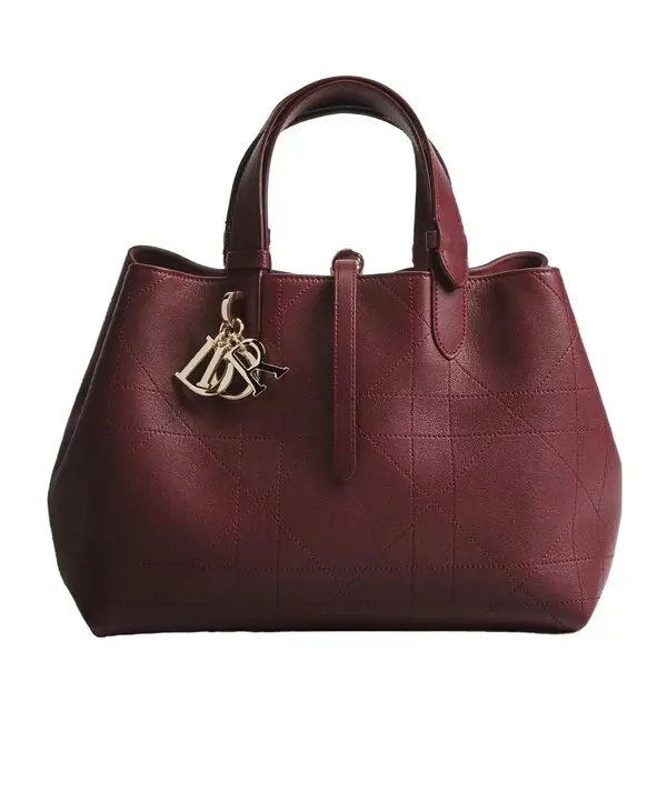 Dior Medium Toujours Bag