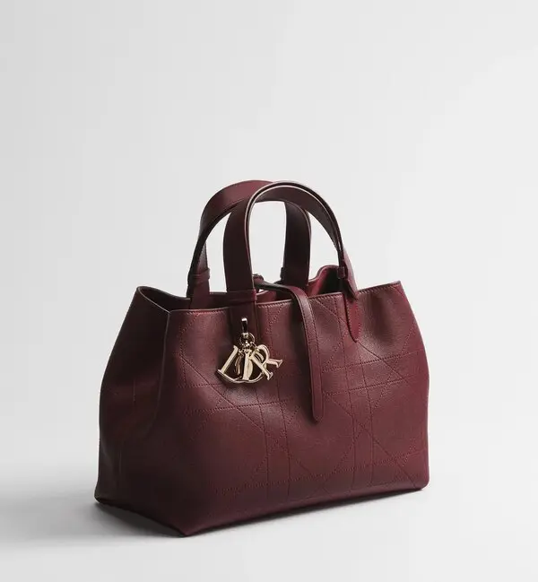 Dior Medium Toujours Bag