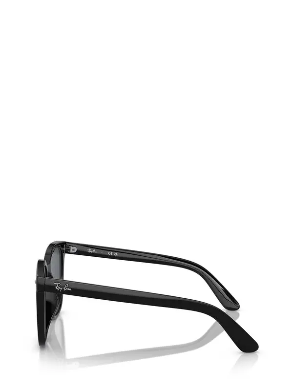 Ray-ban Full Rim Sunglasses