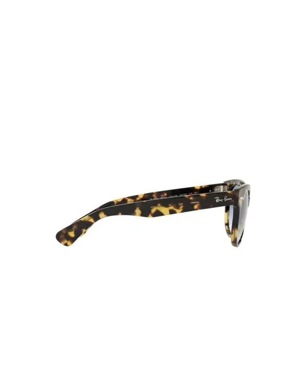 Ray-ban Orion Round Frame Sunglasses