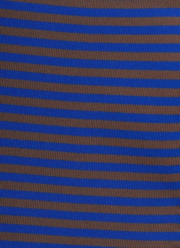 Gimaguas Camu Striped Tank Top - Blue