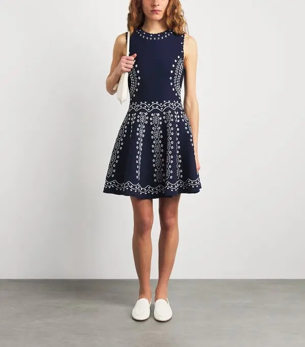 Sandro Embroidered Knitted Mini Dress