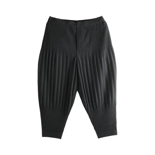 Issey Miyake Pleated Trousers