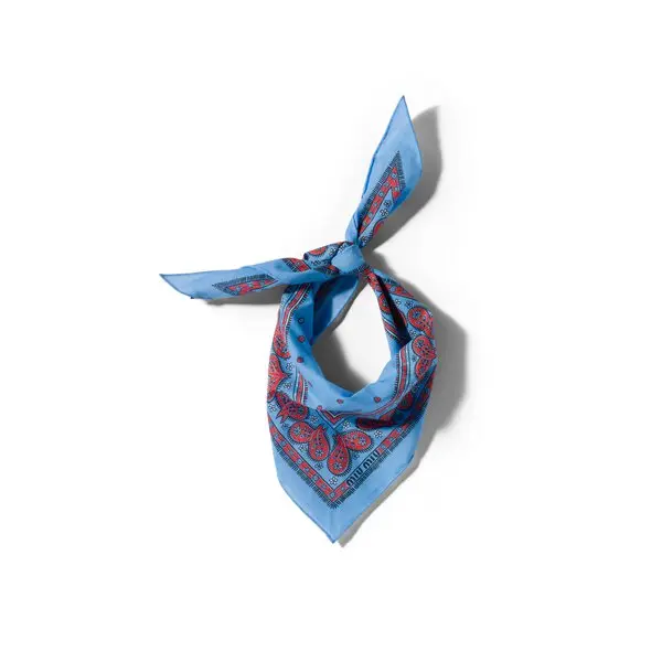 Miu Miu Printed Twill Scarf - Periwinkle/red