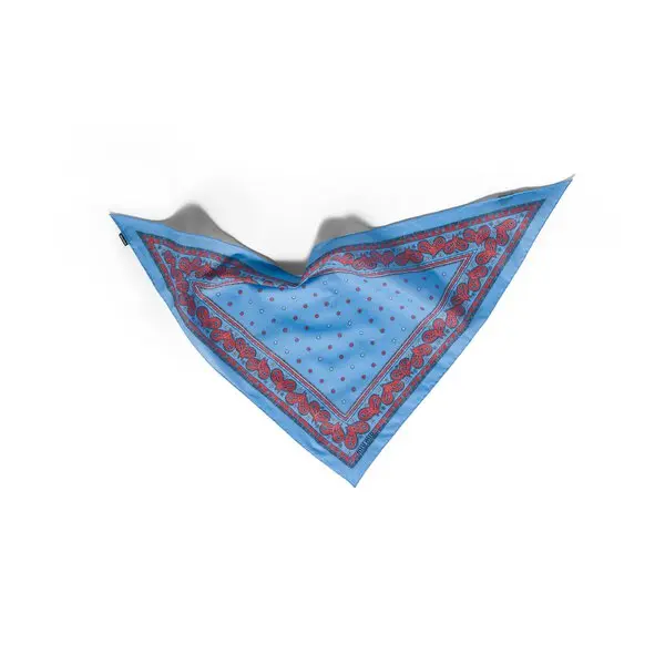 Miu Miu Printed Twill Scarf - Periwinkle/red