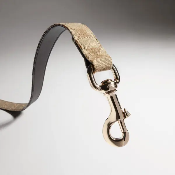 Gucci Large Pet Leash