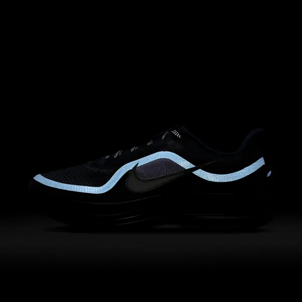 Nike Pegasus Premium Road Running Shoes
