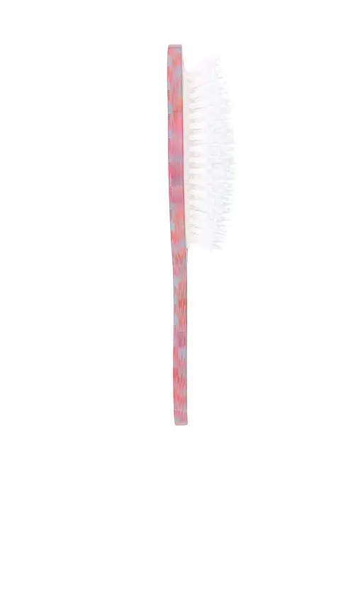 SOLAR ECLIPSE Hand-painted King Charles Cavalier Brush - N,a