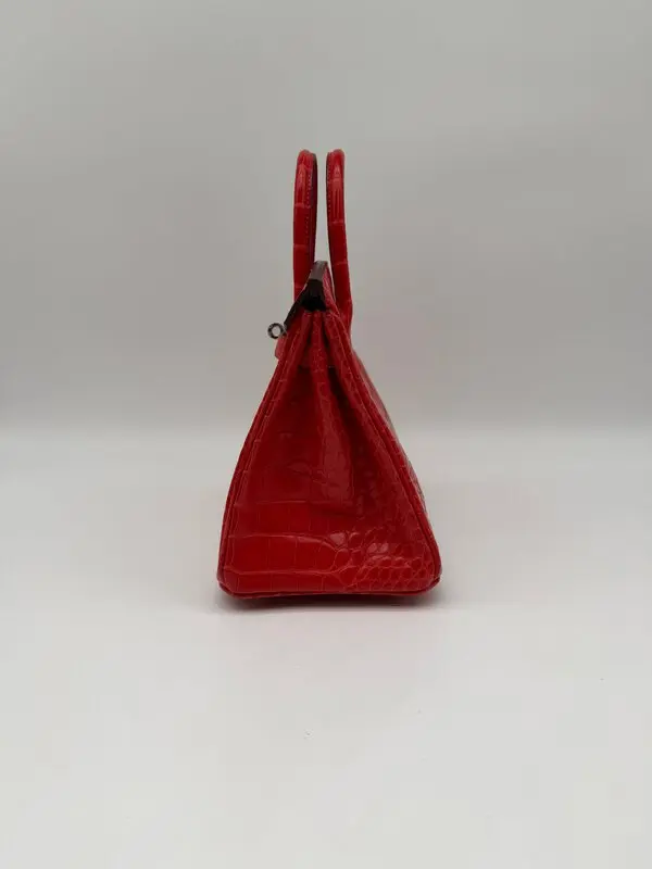 Hermès Birkin 25cm Geranium Matte Alligator With Palladium Hardware - Red