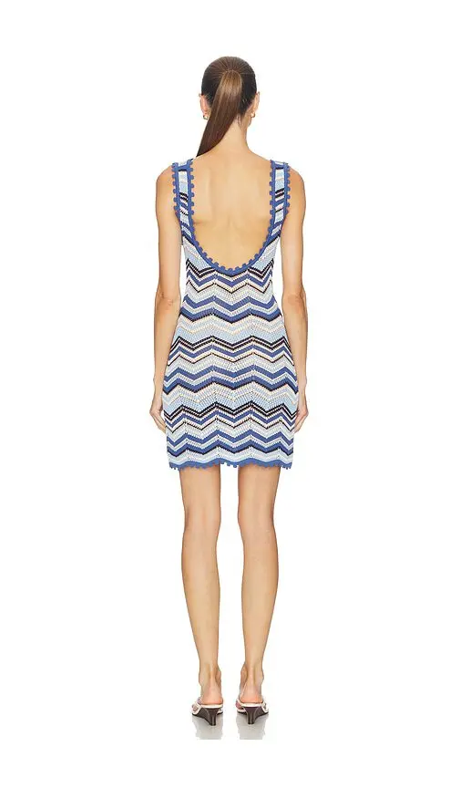 Devon Windsor Alba Crochet Dress