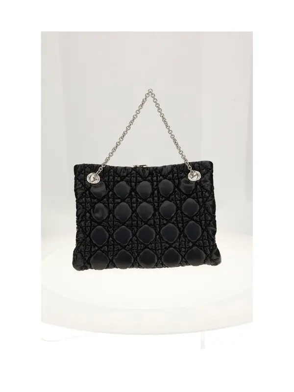 Dior Hobo Bag