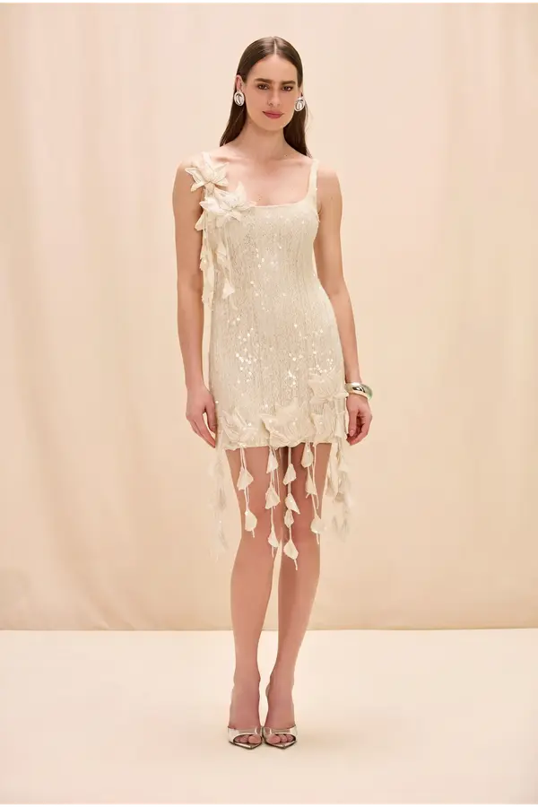 PatBO Iara Crochet Mini Dress