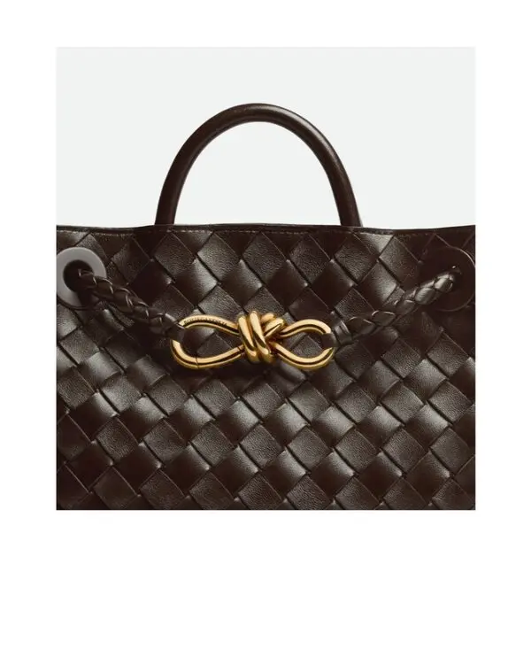 Bottega Veneta Small Andiamo Woven Bag