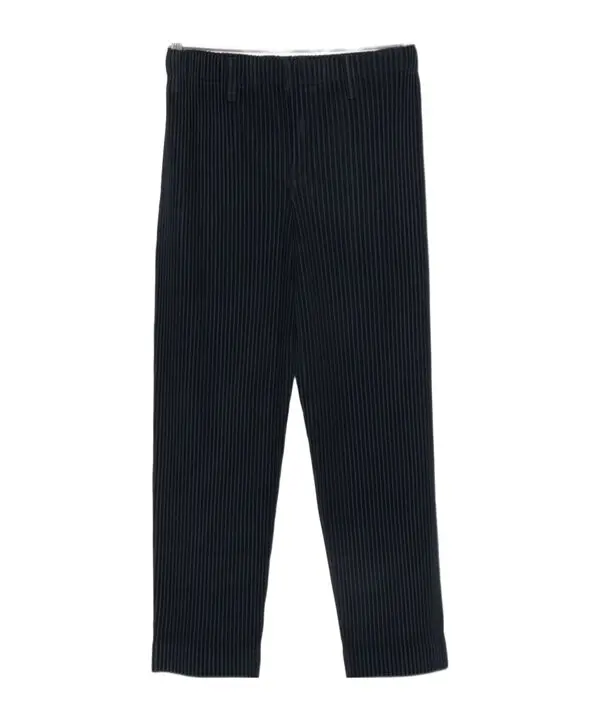 Issey Miyake Pleated Trousers