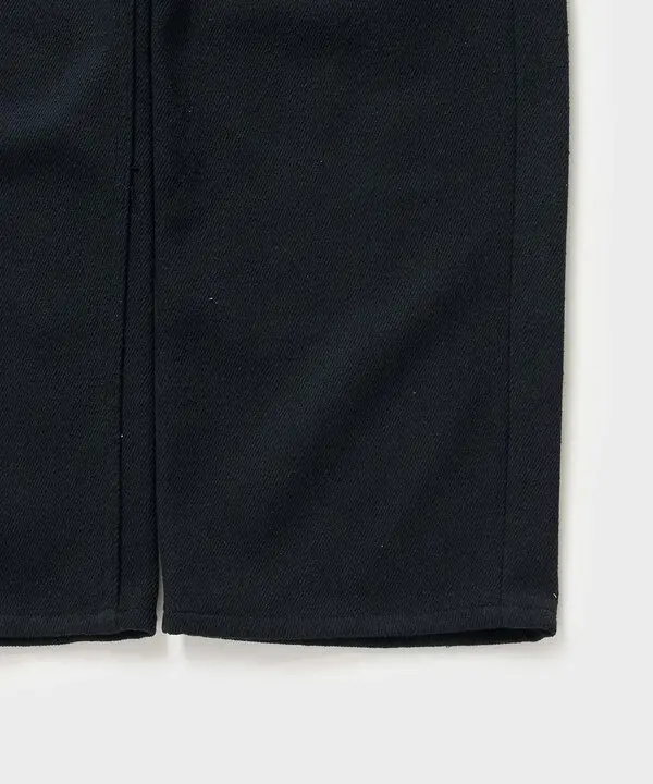 Auralee Silk Jeans